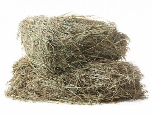 Understanding Hay - Galens Garden